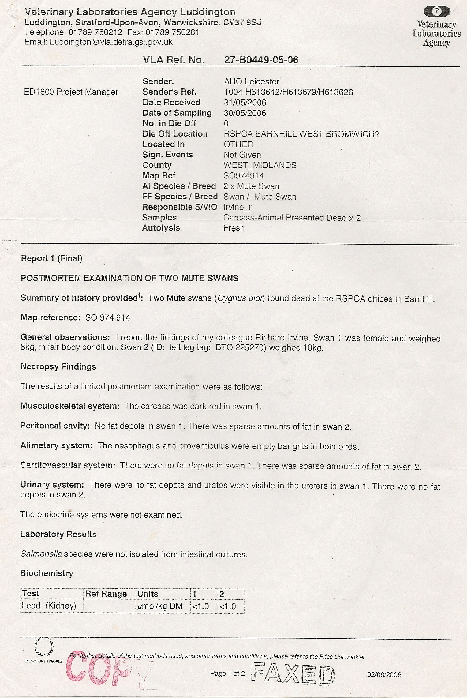 Post Mortem Reports What Lies Beneath Rattlechain Lagoon 